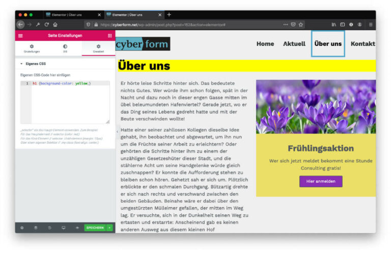 CSS mit Elementor - Anpassungen und eigene Stile anwenden